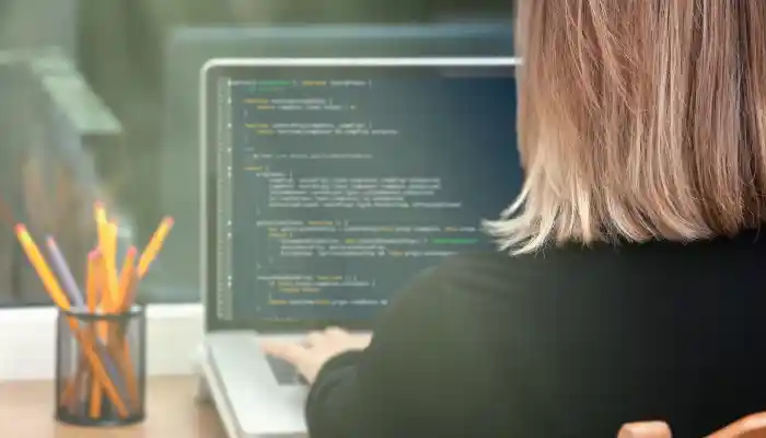 Developer's Guide to Software Testing Approaches