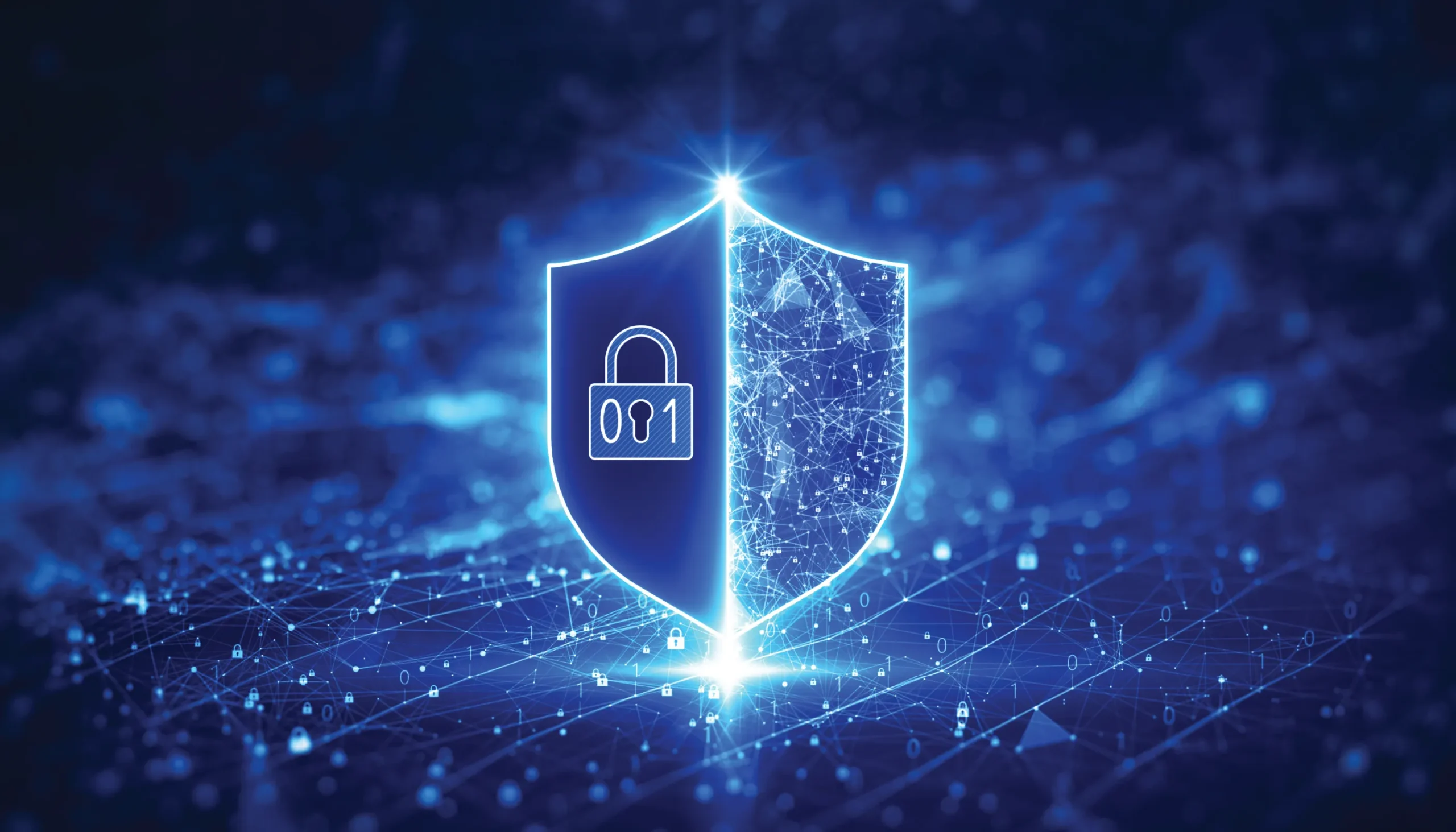 CodeMettle Expands Global Reach with Multilingual Software Support