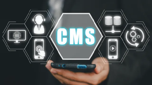 What Developers Should Know About CMS